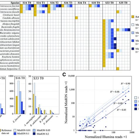 Minion Sequencing Run Statistics For Optimized Libraries Download Scientific Diagram
