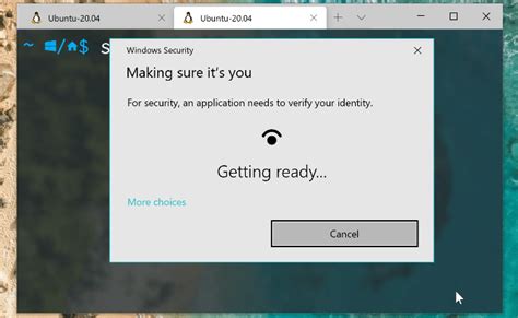 Wsl Hello Sudo Brings Windows Hello Authentication To Linux On Wsl