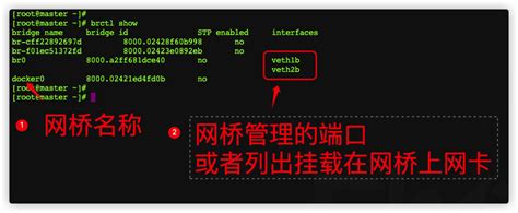 零入门kubernetes网络实战 27 ＞虚拟网桥bridge介绍bridge Fdb Csdn博客