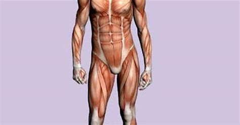 Slightly More Equal Distribution Would Be Nice Imgur