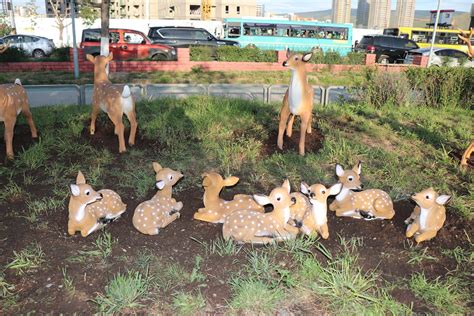 Таван тивийн 40 төрлийн 200 амьтан Улаанбаатарт Updown Mn