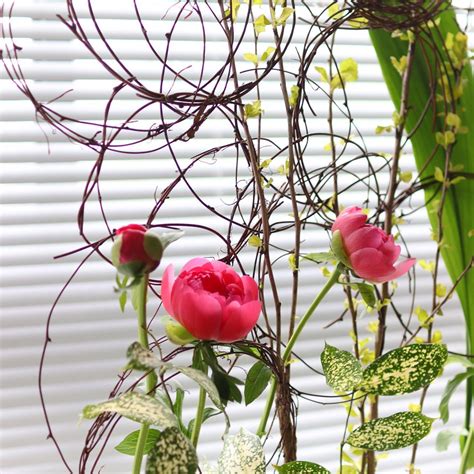 연남동 소소진향 소소진향 도쿄 마미플라워디자인스쿨 친환경꽃꽂이 하나쿠바리 프로그래스클래스 🔸23년도