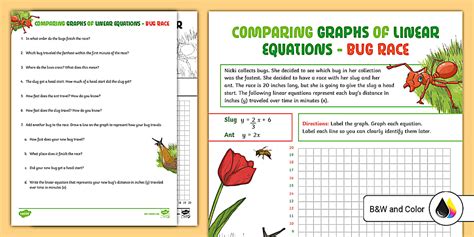 Eighth Grade Comparing Graphs Of Linear Equations Bug Race