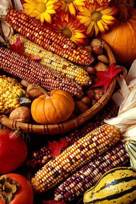 Najnowsze Inspiracje Z Media Cache Ec Pinimg Com Na Stylowi Pl