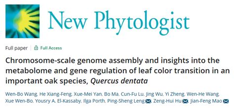 New Phytologist 北京农学院 北京林业大学合作团队解析槲树染色体水平基因组，揭示其叶色转变的调控机制 知乎