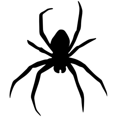Spider Crawling Sticker