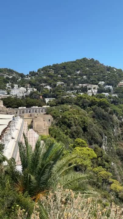 David Reeves On Linkedin Opentowork Jobsearch Hireme Jobhunt Jobseeker Jobsearchin