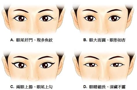 铜铃眼型图片针眼图片眼图片 伤感说说吧