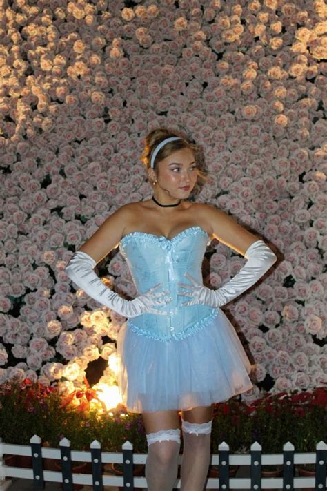 Cinderella Costume Cinderella Costume Cinderella Costumes