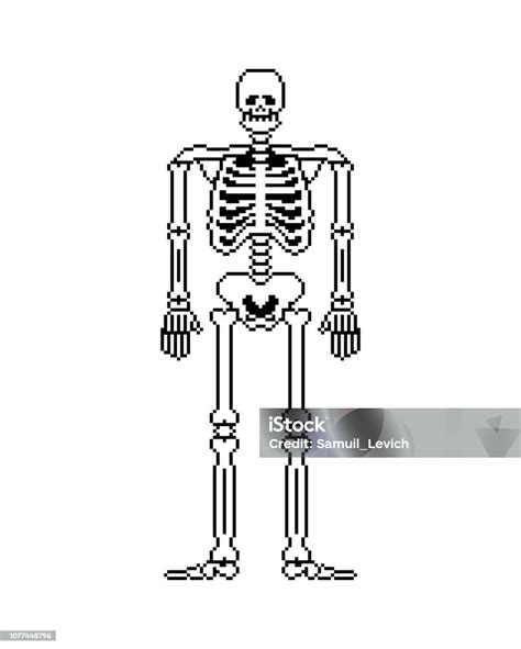 뼈대 픽셀 아트입니다 두개골과 뼈 해부학 8 비트 픽셀화 골반 뼈 그리고 늑 골입니다 척추와 척추 인간의 뼈 시스템 16 비트입니다 오래 된 게임 컴퓨터 그래픽 스타일