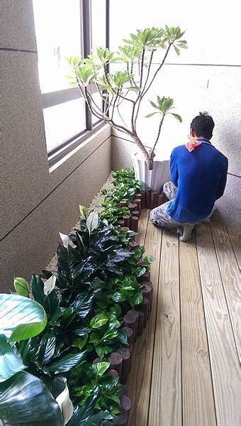 台中透天陽台小造景 園藝造景 園藝造景設計 造景 Diy 園藝用品 園藝造景石頭 陽台園藝造景 公寓陽台園藝造景 園藝造景配件 富臨園藝 台中 彰化 雲林 南投 富臨園藝行~盆栽出租、盆景