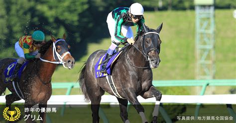 ダートグレード競走：マーキュリーカップ（jpniii）2020おトク情報楽天競馬