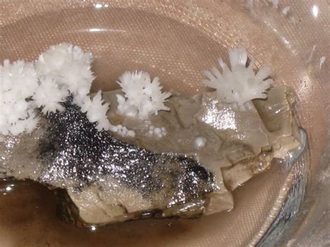 Limestone Experiment General Chill Out Room Stereonet