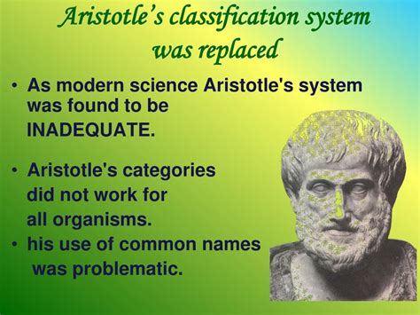 Ppt Chapter 17 Classification Powerpoint Presentation Free Download