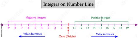 Mathematical Representation Of Integers On The Number Line Vector Illustration Stock Vector