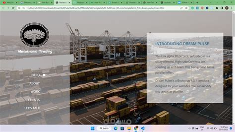 Software Developer مستقل