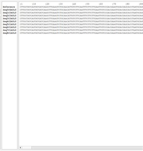 Presenting Horizontally Scrollable Text With Label Qt Forum