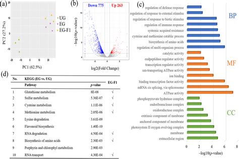 transcriptome high throughput sequencing analysis in leaves of ug