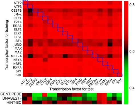 Performance Of Cross Tf Predictions The Tfs Shown In Y Axis Were Used Download Scientific