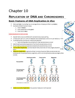 IB Bio Lab Report Banana DNA Extraction Lab Report Banana DNA Extraction Background Each