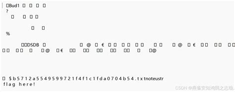ctfhub：信息泄露所有题目 ctfhub题目 csdn博客