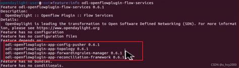 二、opendaylight应用基础开发（感受sdn，介绍openflow，openflowplugin） opendaylight开发 csdn博客
