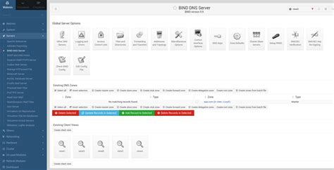 Bind Dns Server Display Problem · Issue 1336 · Webmin Authentic Theme