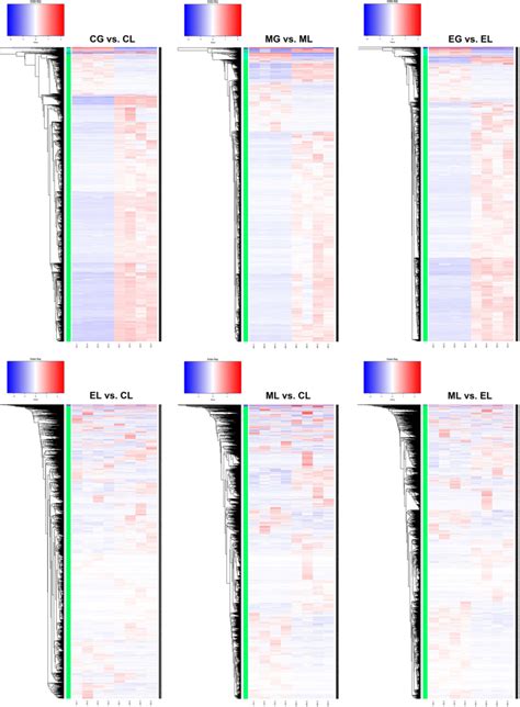 Heat Map Of The Hierarchical Clustering Analysis Of Differentially Download Scientific Diagram