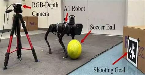 A Framework For Reinforcement Learning To Help Quadruped Robots Become
