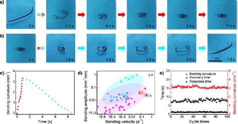 Bendingunbending Actuation Of Global Heterogeneous Go Clay Pnipam Download Scientific Diagram