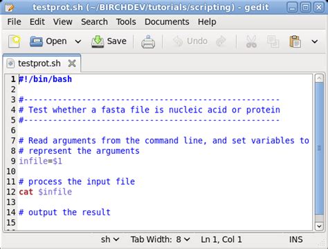 birch tutorial basic shell scripting