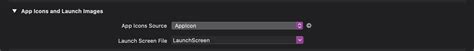 Ios Missing Cfbundleiconname In Xcode App Release Stack Overflow
