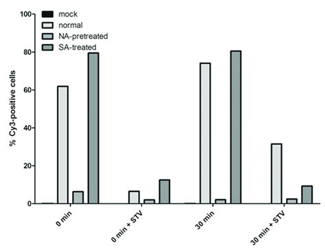 Measuring Attachment And Internalization Of Influenza A Virus In A549
