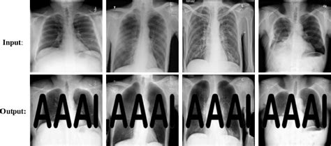 Figure 1 From Model Watermarking For Image Processing Networks Semantic Scholar