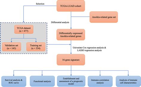 The Design And Flow Chart Of This Study Download Scientific Diagram