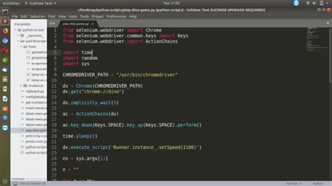 create python scripts for some task by coderamogh fiverr