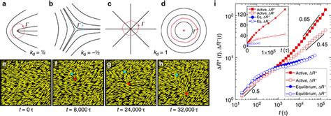 Spontaneous Excitation Of Topological Defects And Their Dynamics Ad