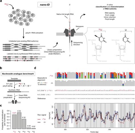 Rna Nanopore Sequencing Library Preparation Oxford Nanopore Bioz
