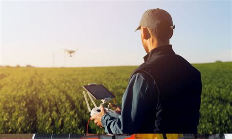 Comprehensive Field Services