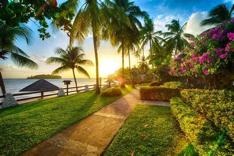 Preview And Download Wallpaper Hd Wallpapers Desktop Background Images