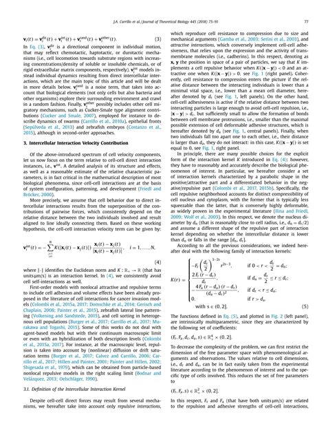 Solution Adhesion And Volume Constraints Via Nonlocal Interactions Determine Cell Organisation