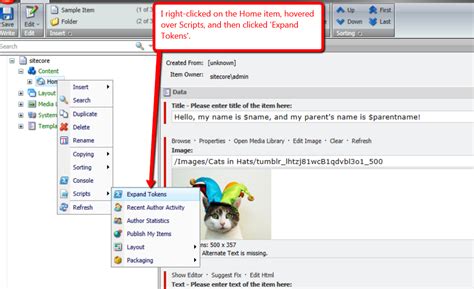 Launch Powershell Scripts In The Item Context Menu Using Sitecore