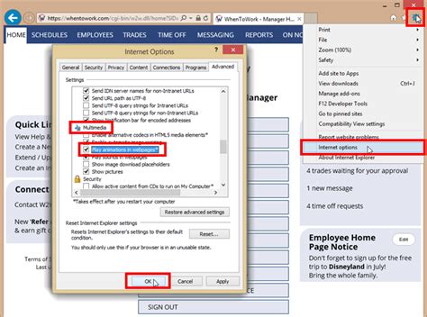 Grids Not Appearing In IE WhenToWork Manager Help