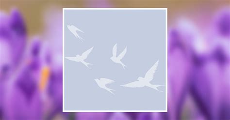 Naomi Fox Obituary Newcomer Columbus