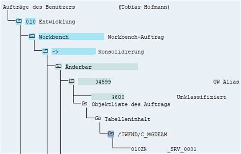Transport Sap Gateway Odata Service System Alias Its Full Of Stars