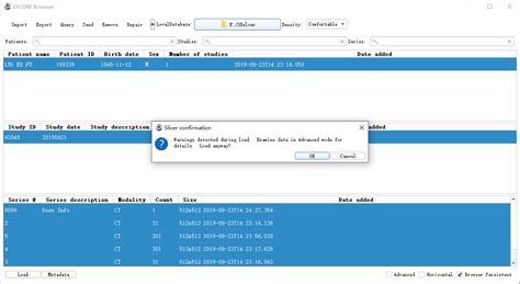 数据导入失败不知道问题在哪里？请教 问题求助 3dslicer中文论坛