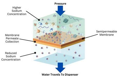 Does Reverse Osmosis Remove Salt Freshnss