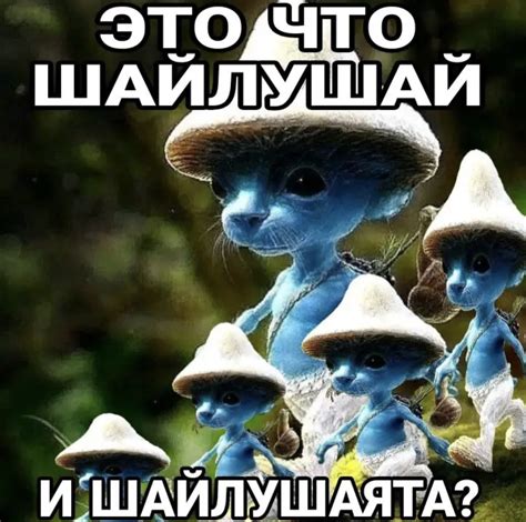 Шайлушай Meme Smurf Cat Шайлушай Know Your Meme
