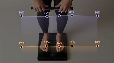 Body Composition Pictures