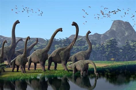 Huge Dinosaur Had A Neck Eight Times As Long As A Giraffes Explorersweb